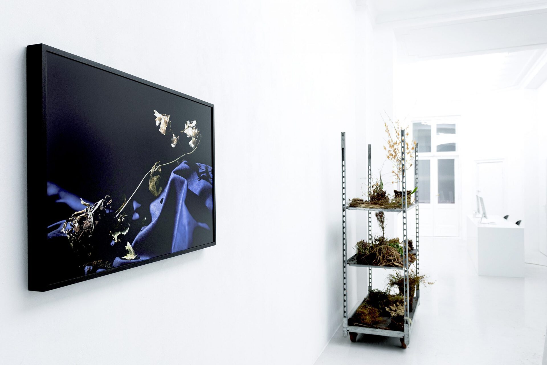 shot#4 EINFRIEDUNG Finja Sander