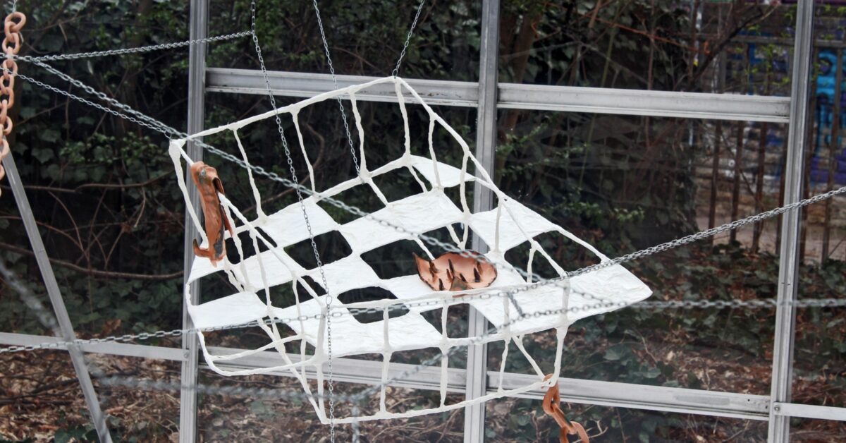 Space Cradle
