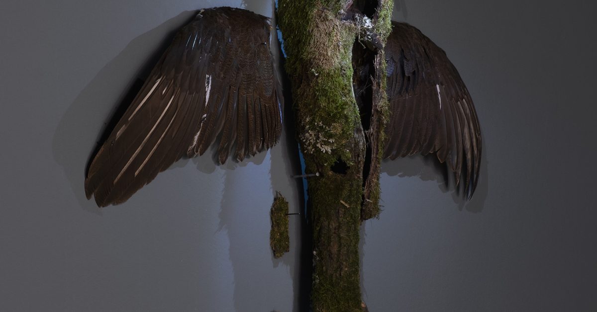 Traces of Life / How to Kill