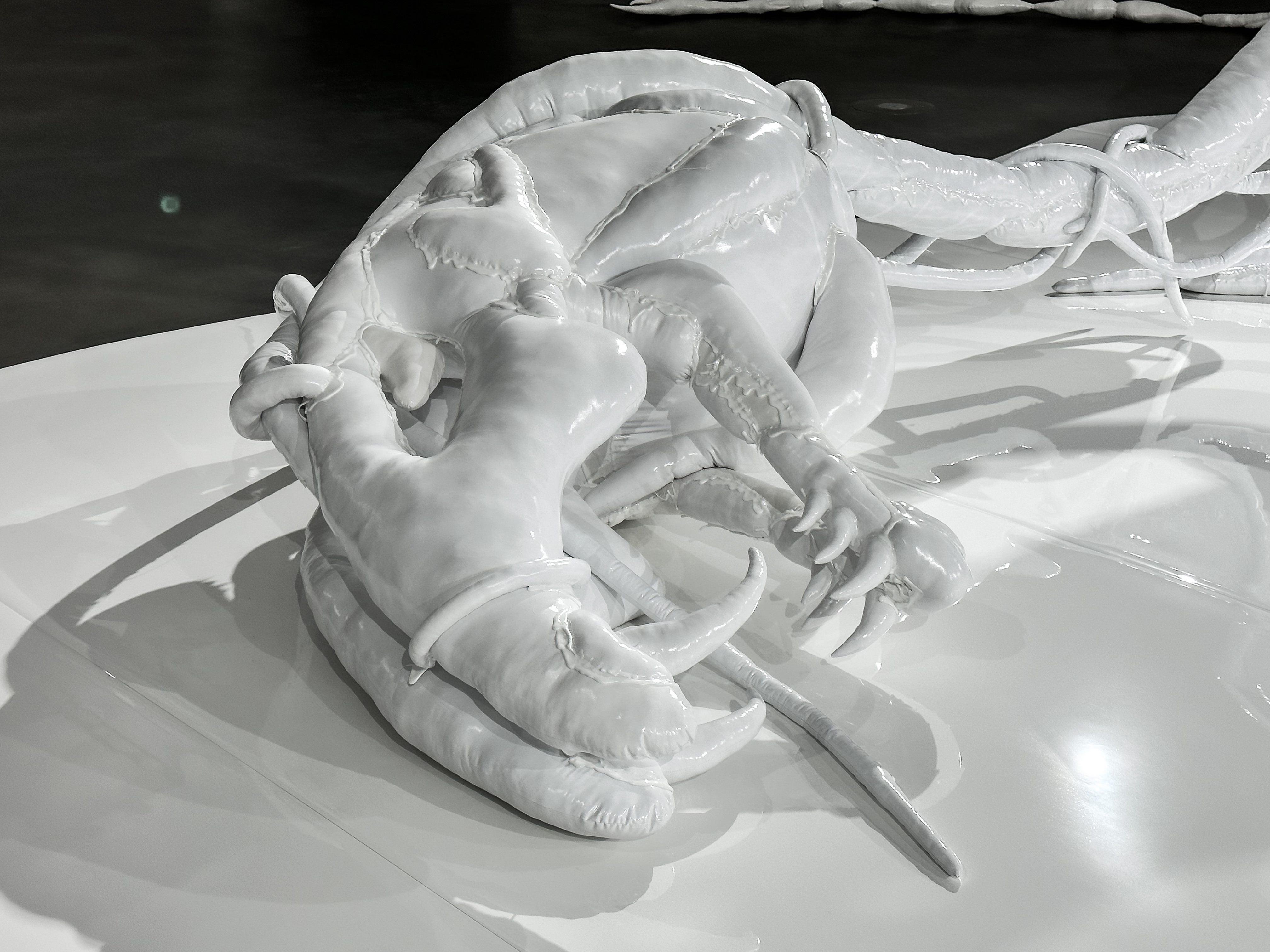 Mary-Audrey Ramirez. Forced Amnesia