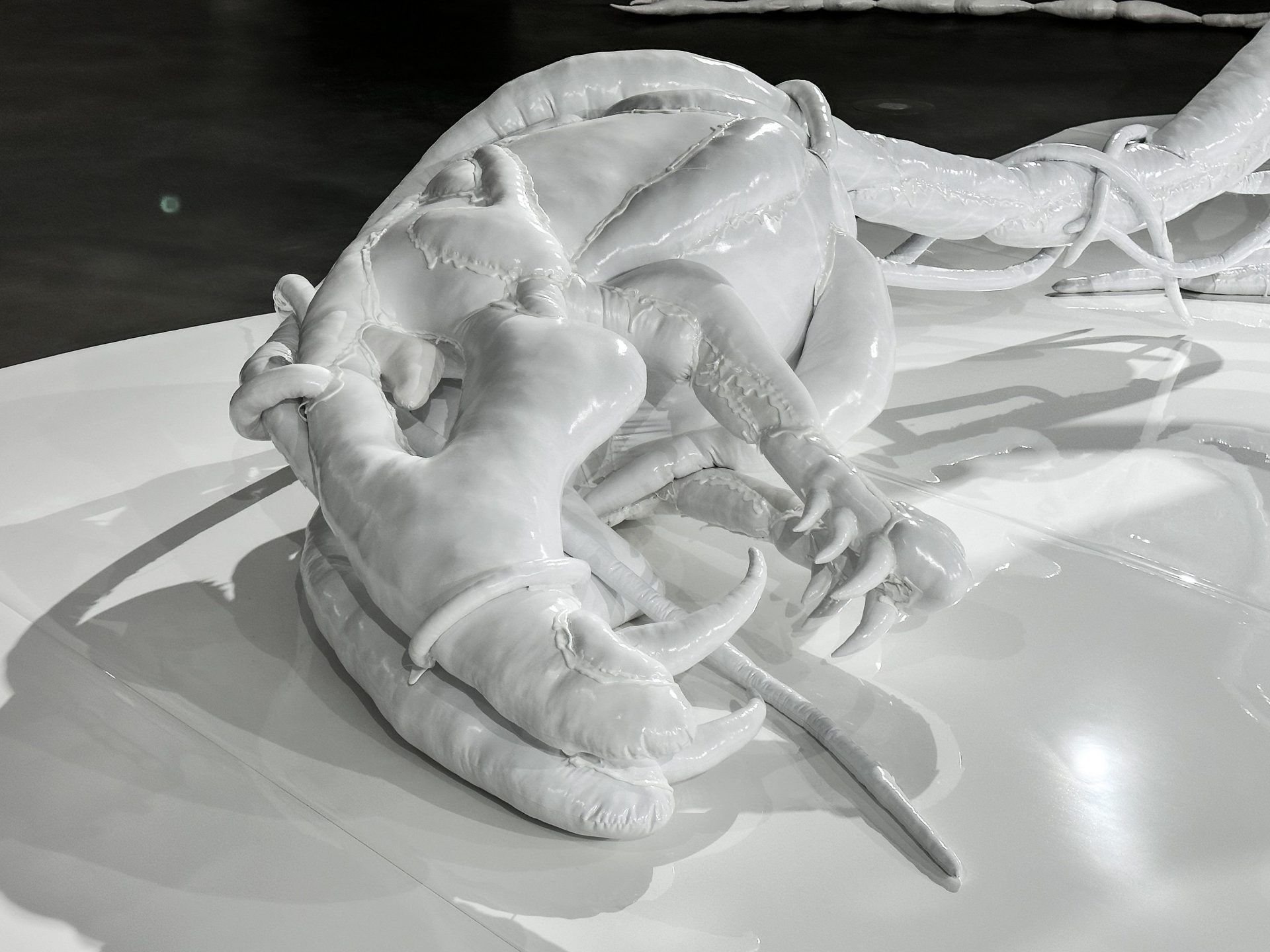 Mary-Audrey Ramirez. Forced Amnesia