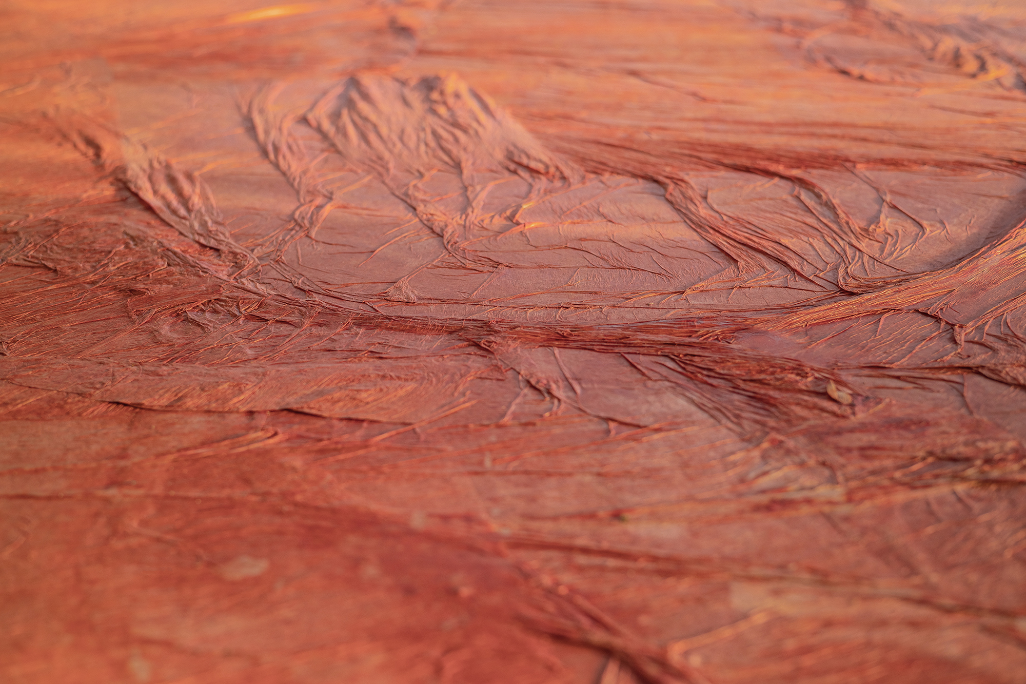 Mud Keeper’s Promise