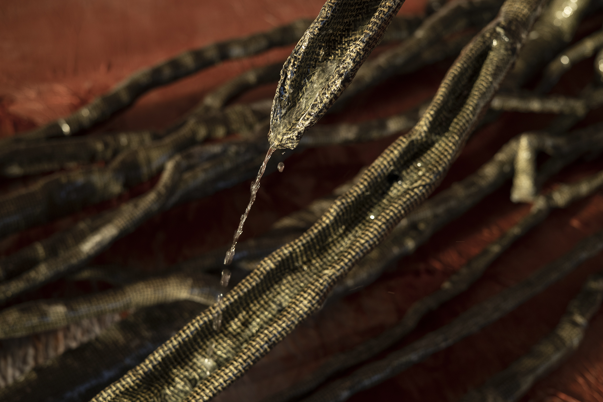 Mud Keeper’s Promise