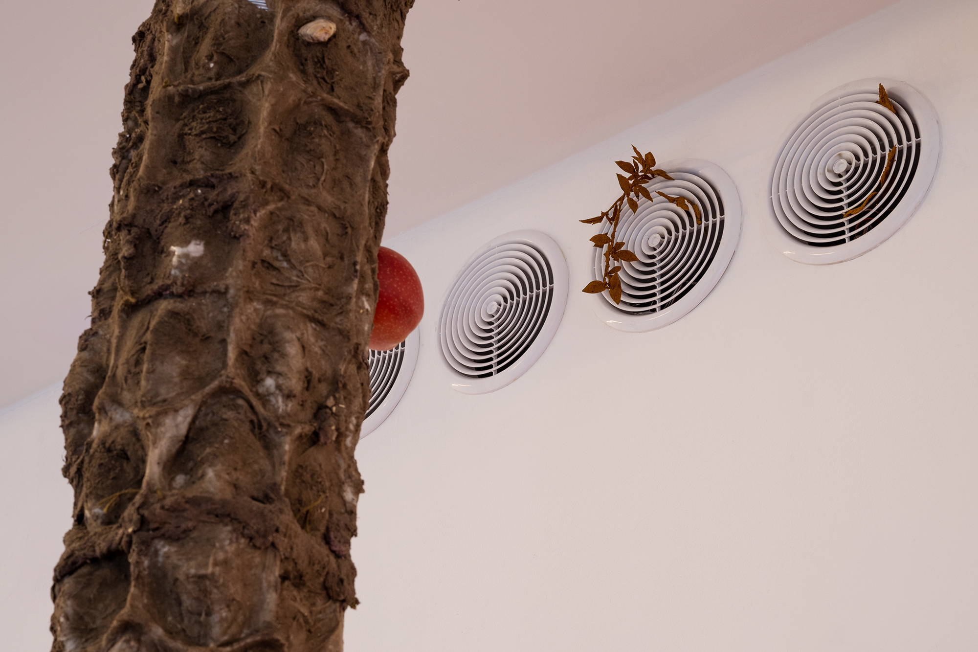 Mud Keeper’s Promise